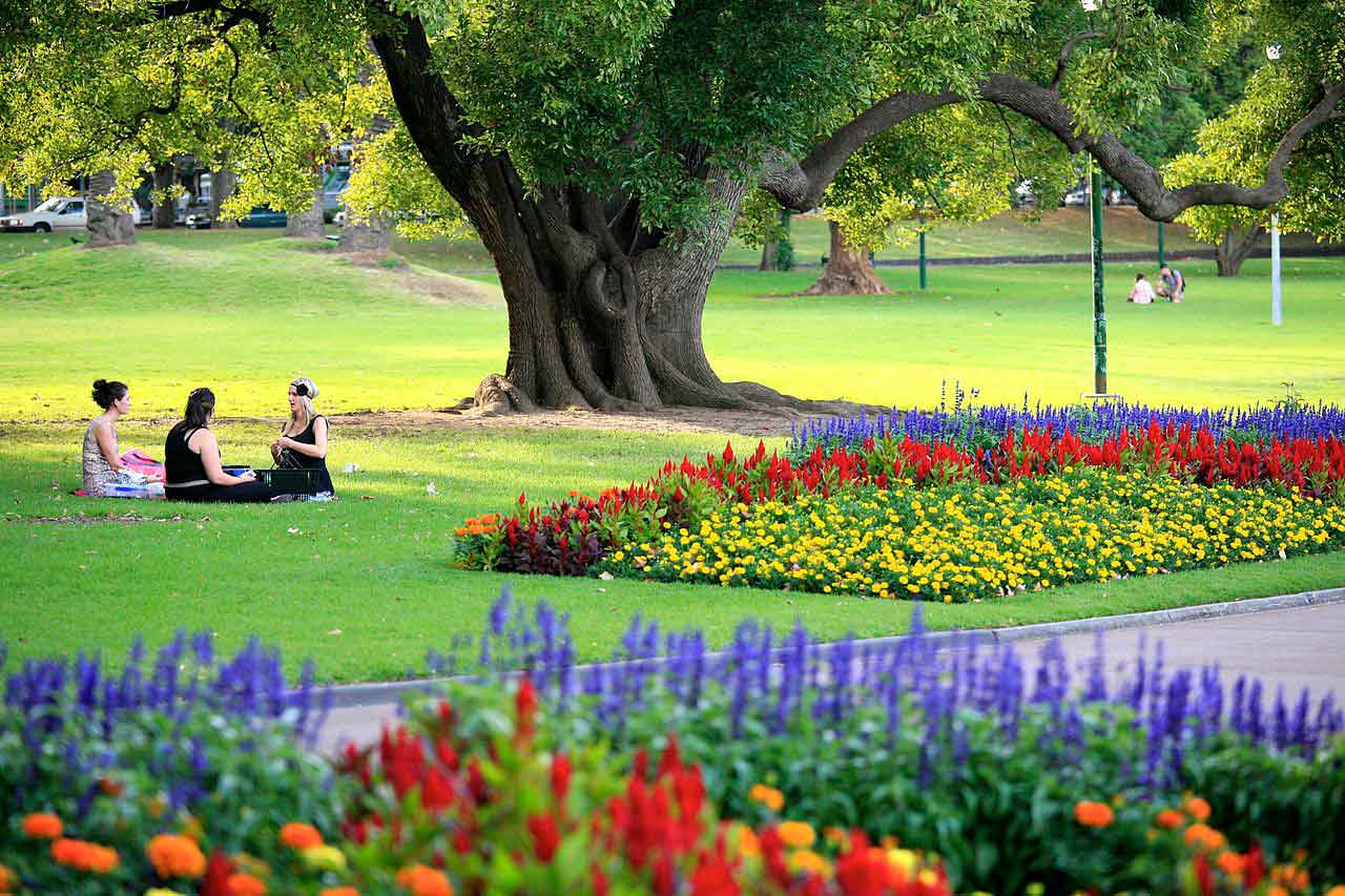 Technology Can Help Save Our Environment Neftline Technology Can Help Save Our Environment Neftline