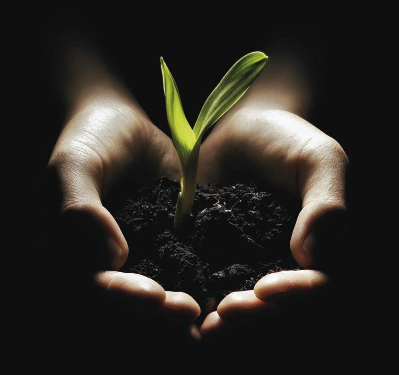 Neftline – Geri Dönüşüm